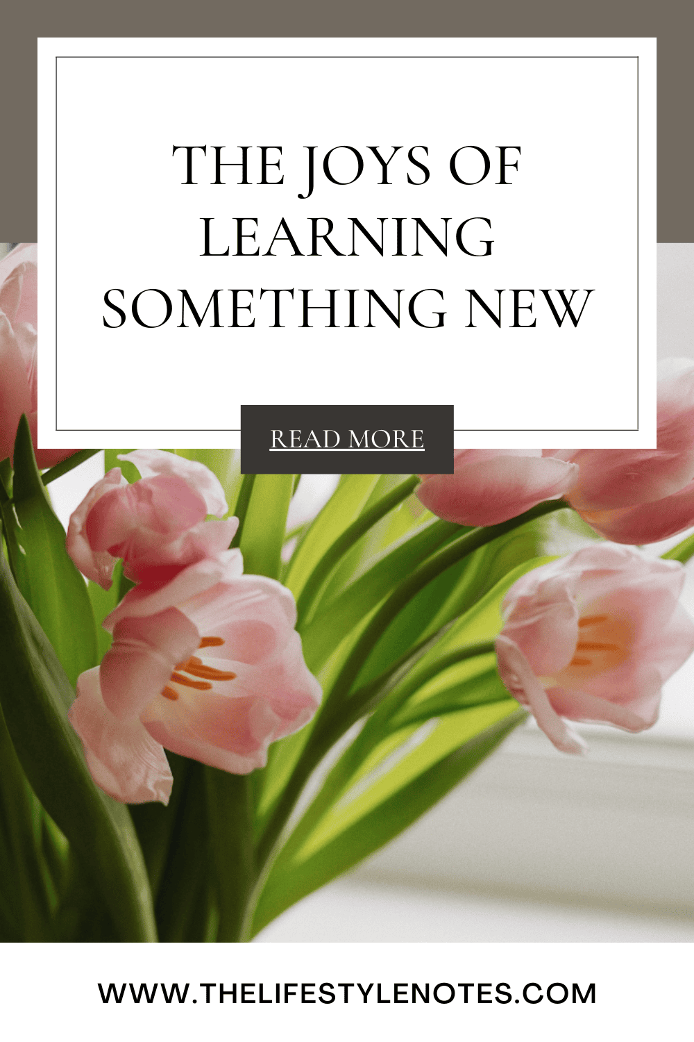 The Joys of Learning Something New - The Lifestyle Notes